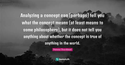 Analyzing A Concept Can Perhaps Tell You What The Concept Means At Quote By Patricia