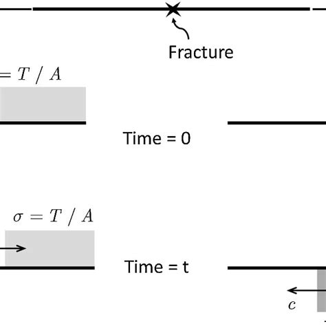 Simple 1 D Fracture Model For A Bar Under Uniaxial Tension Download
