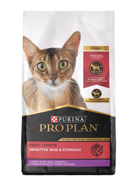 Home Remedies For Cats Dry Skin