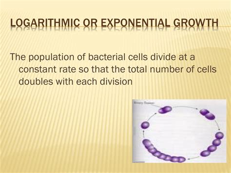 PPT BACTERIAL GROWTH CURVE PowerPoint Presentation Free Download ID 9569763