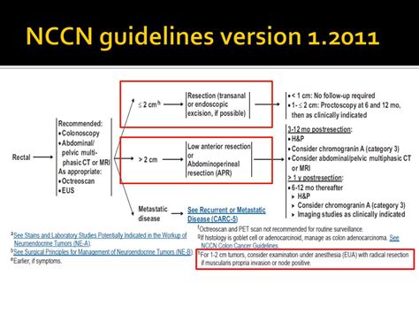 PPT Rectal Carcinoid Current Management And Evidence PowerPoint Presentation ID