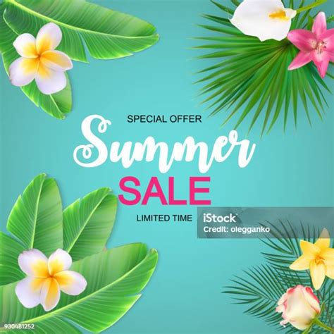 여름 판매 꽃과 귀여운 배경입니다 벡터 일러스트 레이 션 가격에 대한 스톡 벡터 아트 및 기타 이미지 가격 개성 개념 계절 Istock