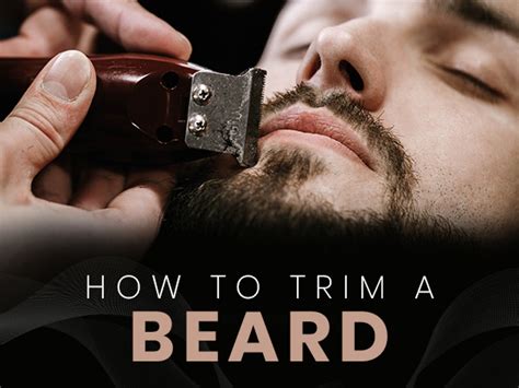 How To Trim Your Beard Like A Pro The Easy Guide Boldsky Com