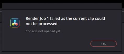 Codec Is Not Opened Yet Bug Reports Voukoder Pro
