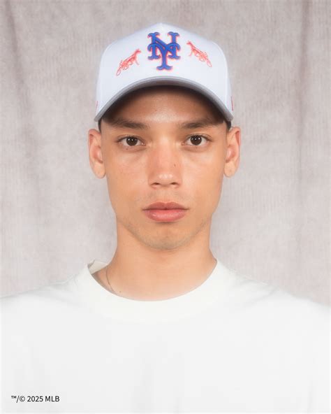 New York Mets Siegelman Stable