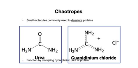 Protein Folding And Tertiary Structure Flashcards Quizlet