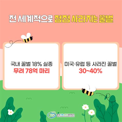 한국기후환경네트워크 위기의 생태계 기후변화로 꿀벌 실종 🐝🍯 지구온난화로 인한 기후변화로