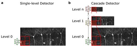 论文评述 Cascade Detector Analysis And Application To Biomedical Microscopy