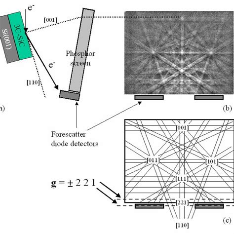 Schematic Illustration Of A The Projected Side View Of The Ecci