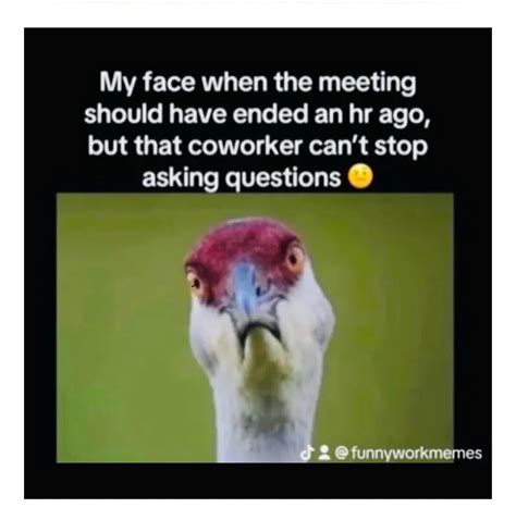 Funny Pic Thread No Swearing No Sex No Complaining Page 1118