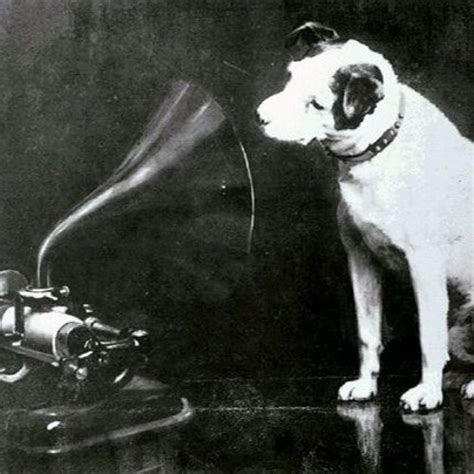 Stream Guager Music Listen To Songs Albums Playlists For Free On