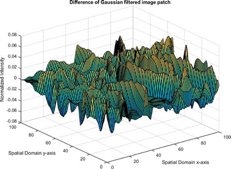 Input Image Filtered By Difference Of Gaussian Download Scientific Diagram