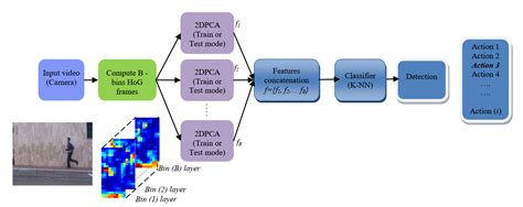 Simultaneous Human Detection And Action Recognition Employing 2dpca Hog Biotechnology School