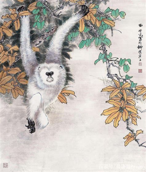 张无忌 白猿授书”获得九阳神功秘籍其中的深刻隐喻百科ta说
