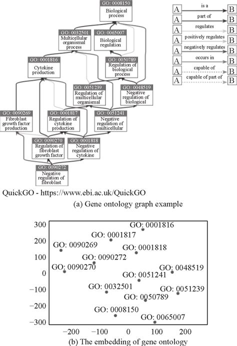 An Example Overview Of Gene Ontology Download Scientific Diagram