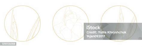 트렌디 한 선형 미니멀 한 스타일의 여성 로고 디자인 템플릿 아이리스 꽃 화장품 보석 미용 및 수제 제품을 위한 엠블럼 상징 및 아이콘 0명에 대한 스톡 벡터 아트 및 기타