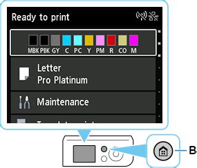 Canon ImagePROGRAF Manuals PRO 300 Series Setup Guide