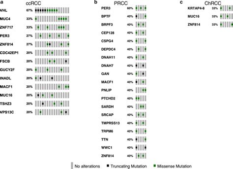 Oncoprint Diagram A Showing The Mutated Genes In At Least Three Download Scientific Diagram