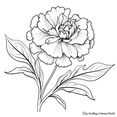 Fall Flowers Coloring Pages Free And Printable