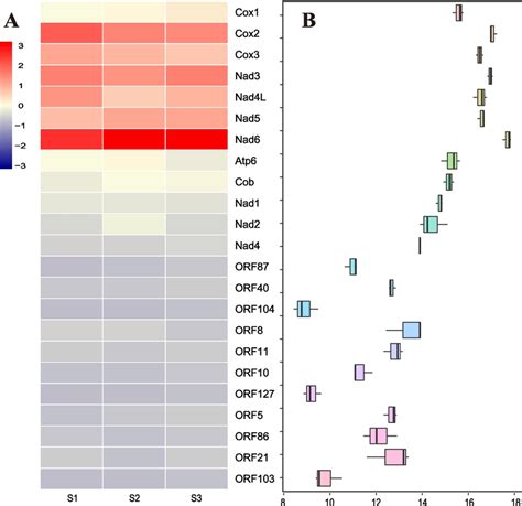 Transcription Level Of Mitochondrial Protein Coding Genes And Orfs A