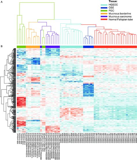 Unsupervised Hierarchical Clustering Of Pgcs And Ovarian Fallopian Download Scientific