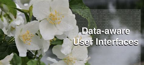 Towards Data Aware User Interfaces