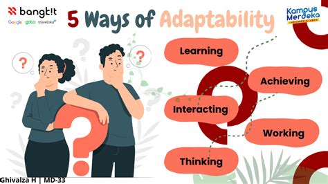 5 Ways Of Adaptability