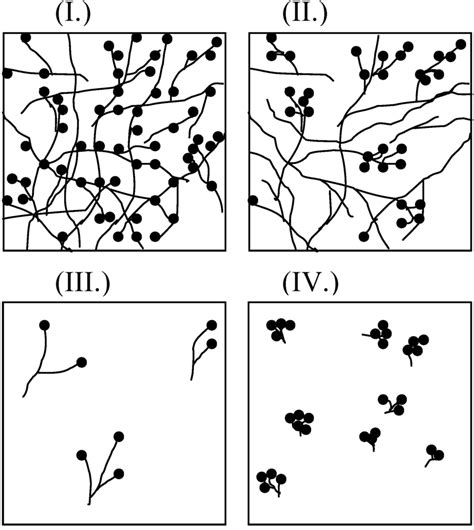 Four Different Species Spatial Patterns Based On The Results From The Download Scientific