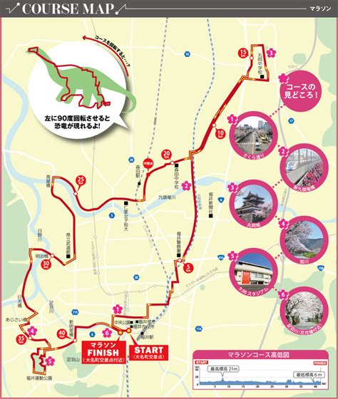 ふくい桜マラソン2025 イベントトピックス 福井県坂井市公式観光ガイド さかい旅ナビ