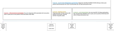 Diagnosis Observation Periods Diagnostic Observation Timeline For Ccs Download Scientific