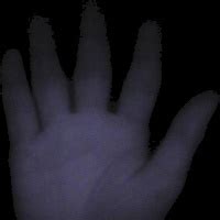GitHub Arijitx HandGesturePy Static Hand Gesture Detection Using Opencv Python With Hog