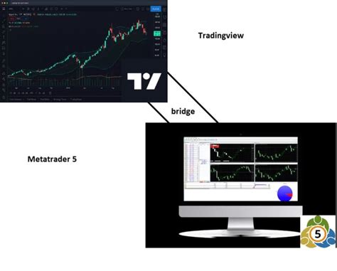connect tradingview to metatrader for automated trading by hclim0 fiverr