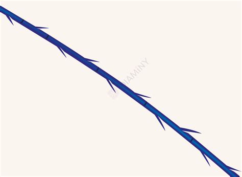 Premium Pdo Threads Nonsurgical Facelift Products