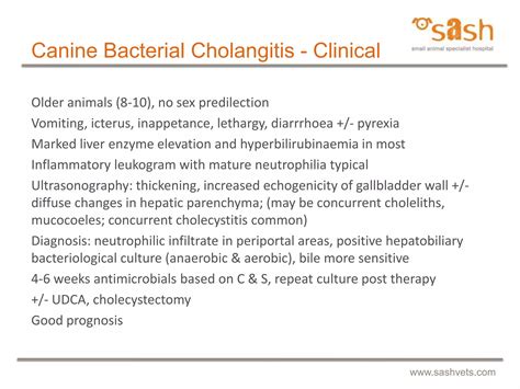 Sash Canine Biliary Disease Gallbladder Mucocoeles Cholangitis