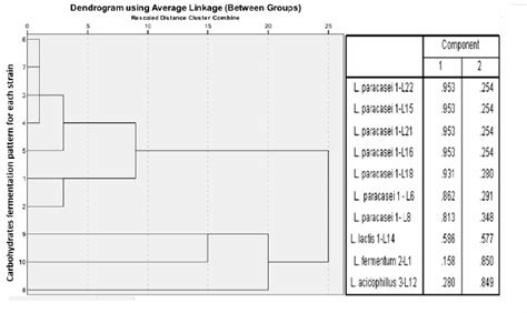 Dendrogram Among The Ten Isolates From Human Milk Apriori Clustering Download Scientific