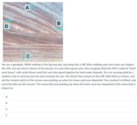 Solved Do Not Copy This Specific Arrows And Orientation Is