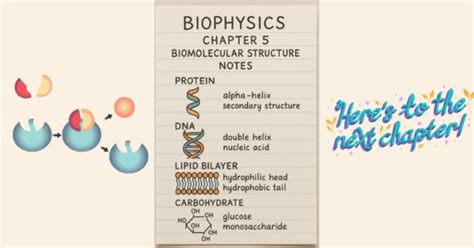 Biophysics Chapter 5 Biomolecular Structure Notes Nurses Educator