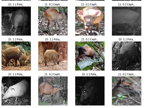 Python Hight Accuracy First Epochs Stack Overflow