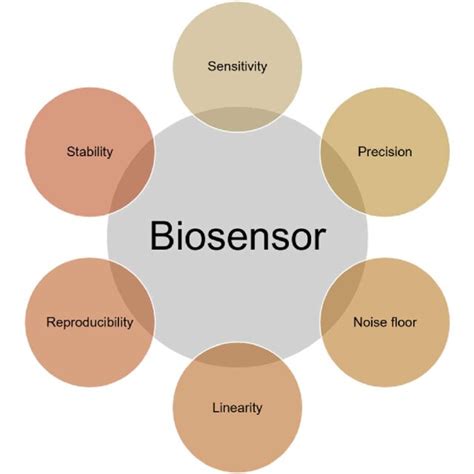 Performance Parameters In Biosensor Development Download Scientific Diagram
