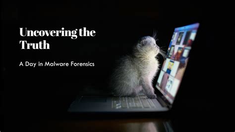 A Day In The Malware Forensics Investigations