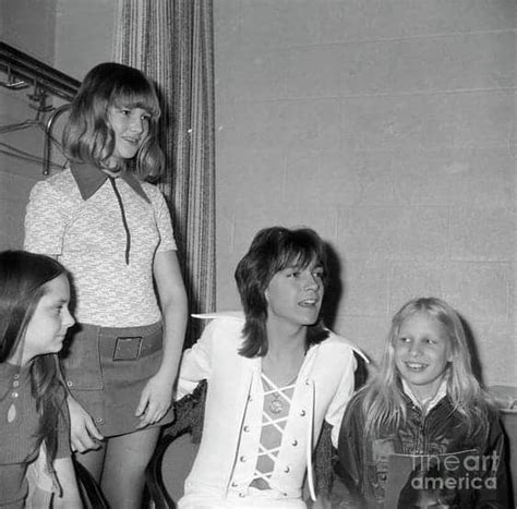 David Cassidy David Cassidy Hollywood Star Star David