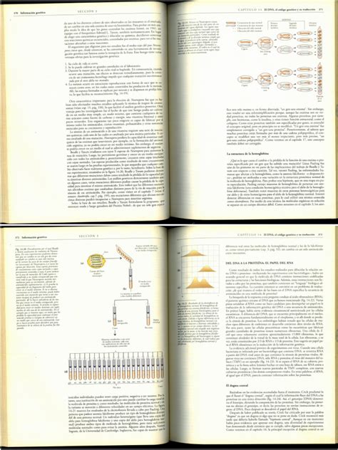 S55c 6e25040811000 Pdf