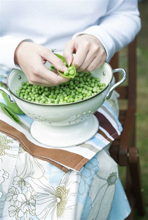 Peas Brain Chemicals