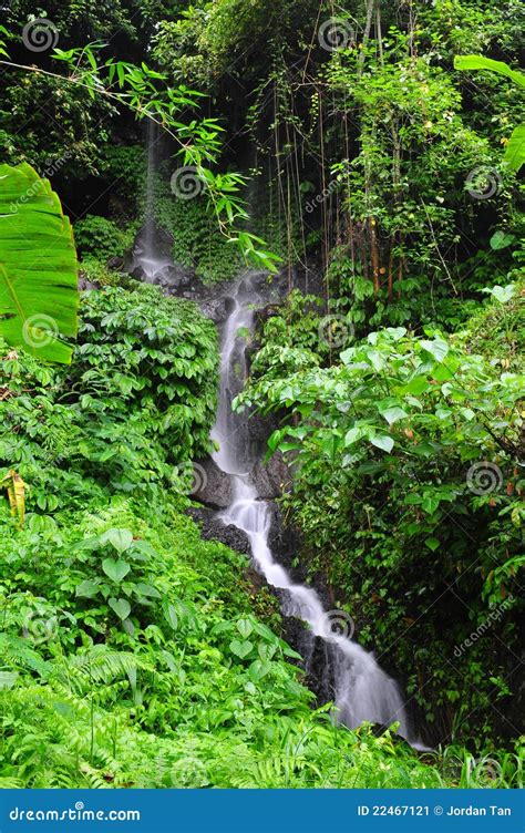Gitgit Waterfall In Bali Stock Image Image Of Rapid 22467121