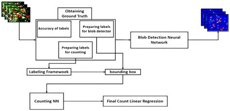 Numerical Counting Algorithm Based Cnn Download Scientific Diagram