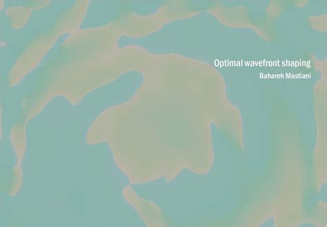 Phd Defence Bahareh Mastiani Optimal Wavefront Shaping