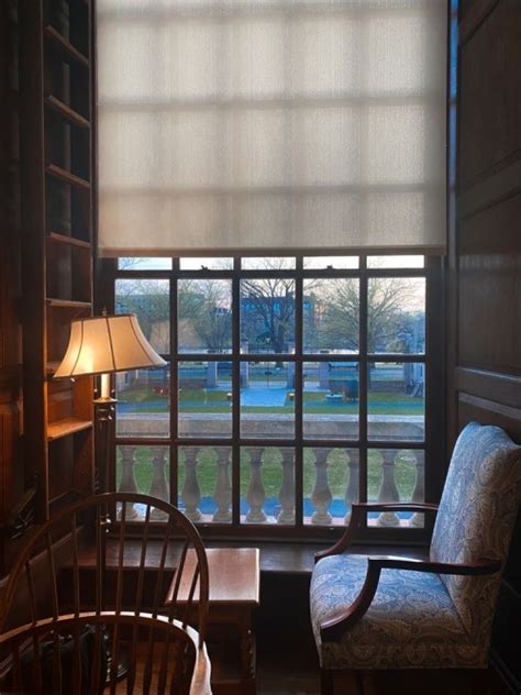 Optimistic Nihilist On Tumblr