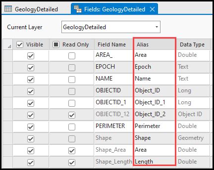 Problem Field Aliases Of Shapefiles Are Not Preserved In ArcGIS Online Or Portal For ArcG