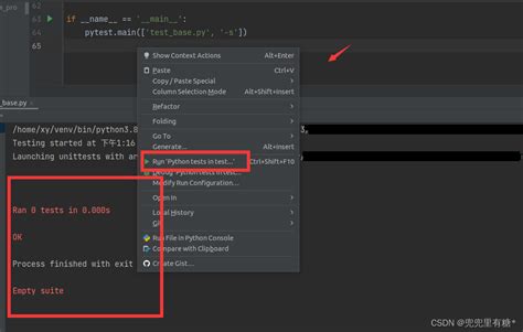 Pytest运行后empty Suite的问题process Finished With Exit Code 5 Empty Suite