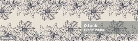 손으로 그린 Euphorbia Poinsettia가있는 벡터 수평 이음새없는 경계 엡 10 12월에 대한 스톡 벡터 아트 및 기타 이미지 Istock